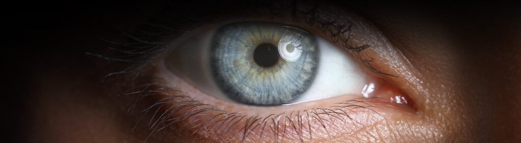 SeeEyeClinic-MissingAssets-Heros-OptimapRetinalImagery | See Eye Clinic